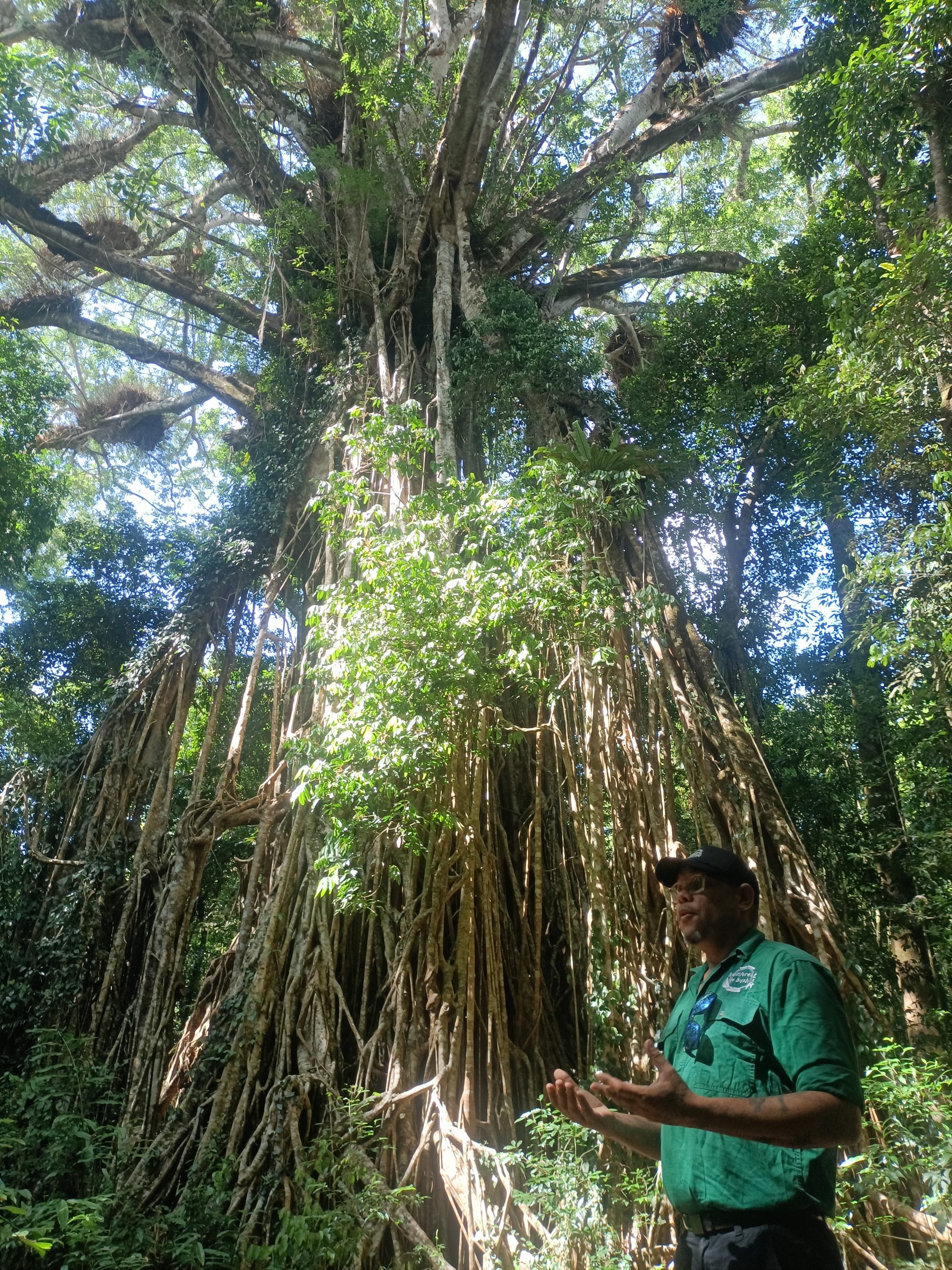 Sustainability Warriors - Small World Journeys