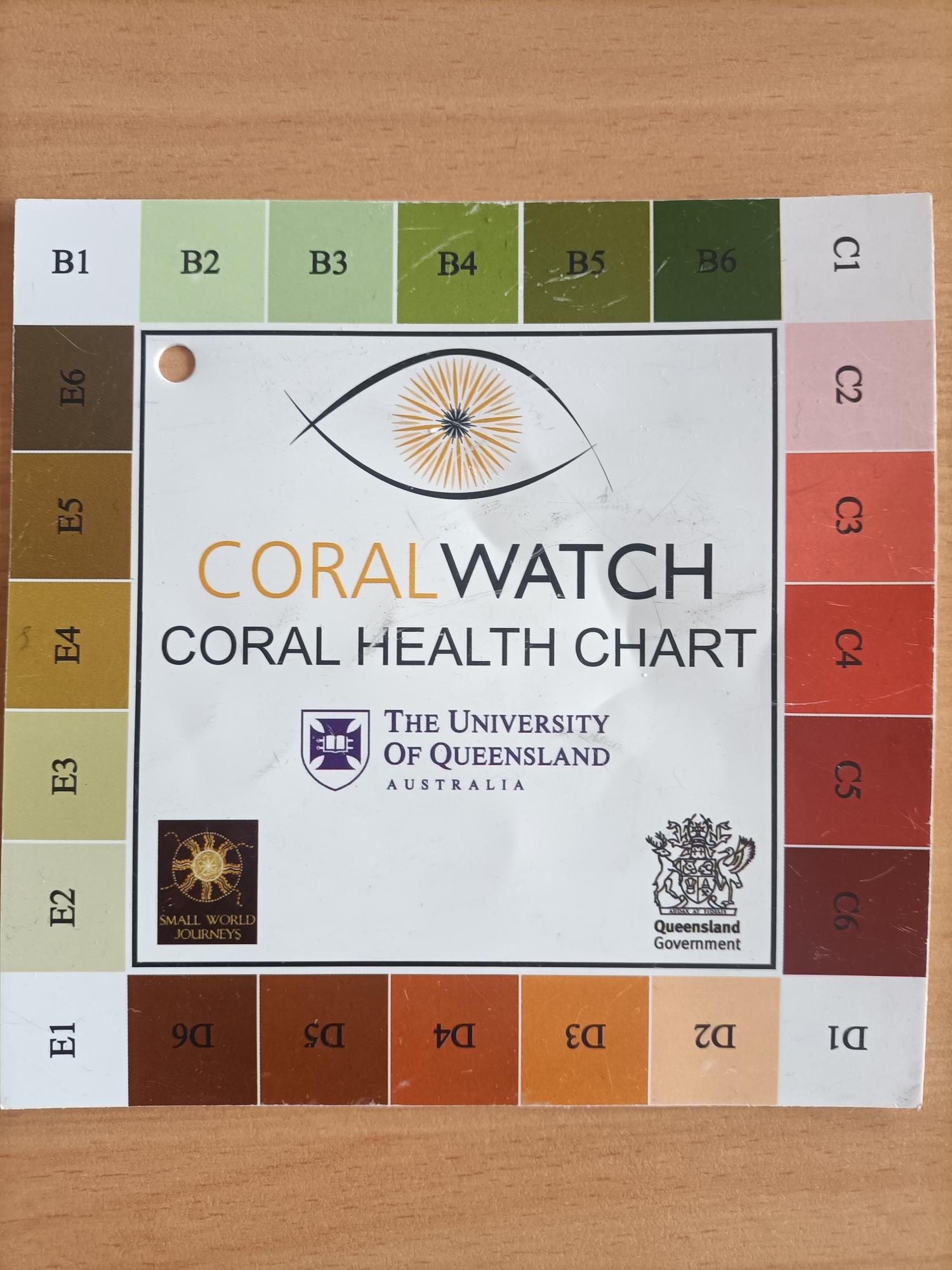 Our Citizen Science Project to Help The Great Barrier Reef - Small ...